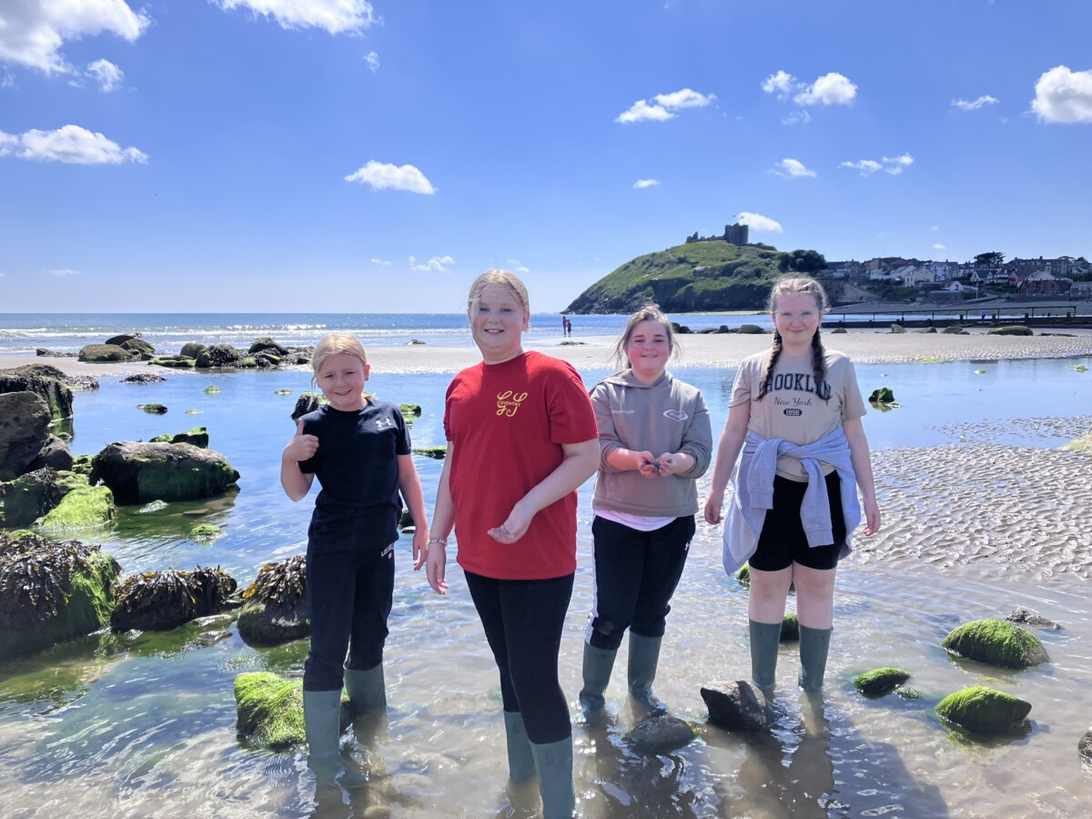 Dol-y-Moch – Group E, Day 1 – Ernesford Grange Primary School